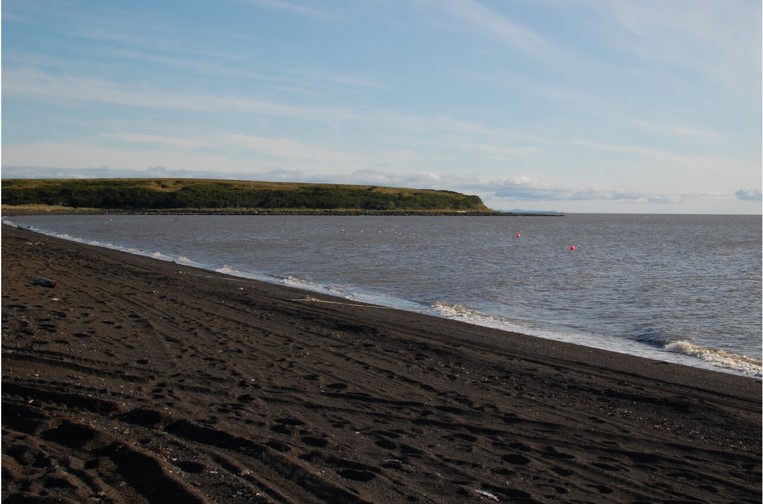 Aleutian Pribilof Islands Association (APIA) - The Alaska Psychology ...