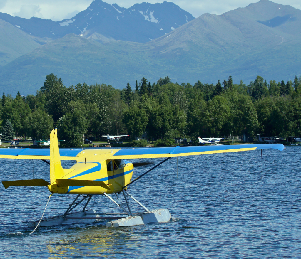 Aleutian Pribilof Islands Association (APIA) - The Alaska Psychology ...